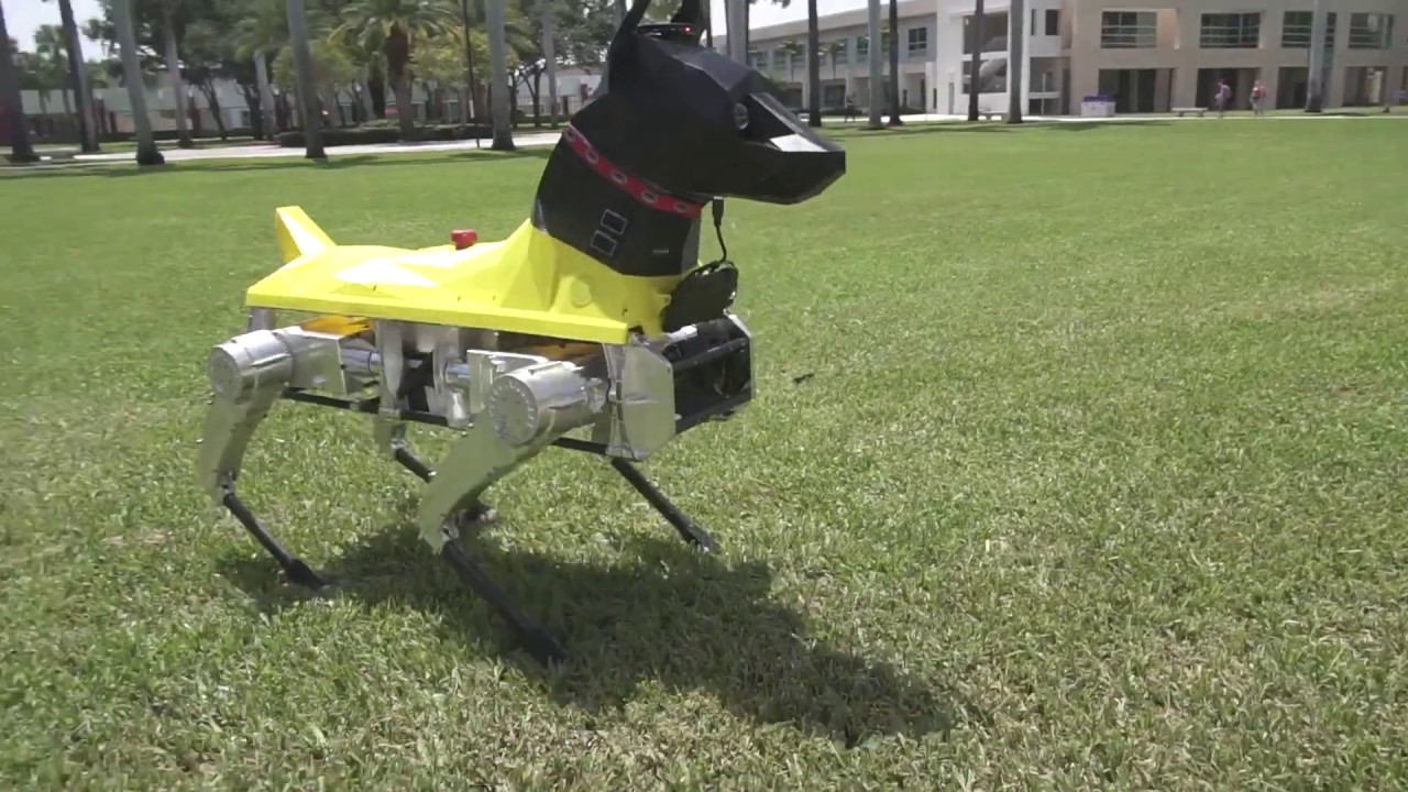 Astro, il Robo-Dog con l'Intelligenza Artificiale - Il Blog di Beppe Grillo